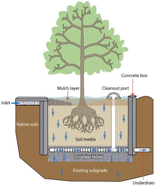 New Stormwater Device Downtown – Town of Kernersville